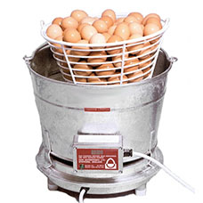 Egg Farming Equipment & Machinery | Reid's Equipment