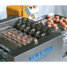 Egg Farming Equipment & Machinery | Reid's Equipment