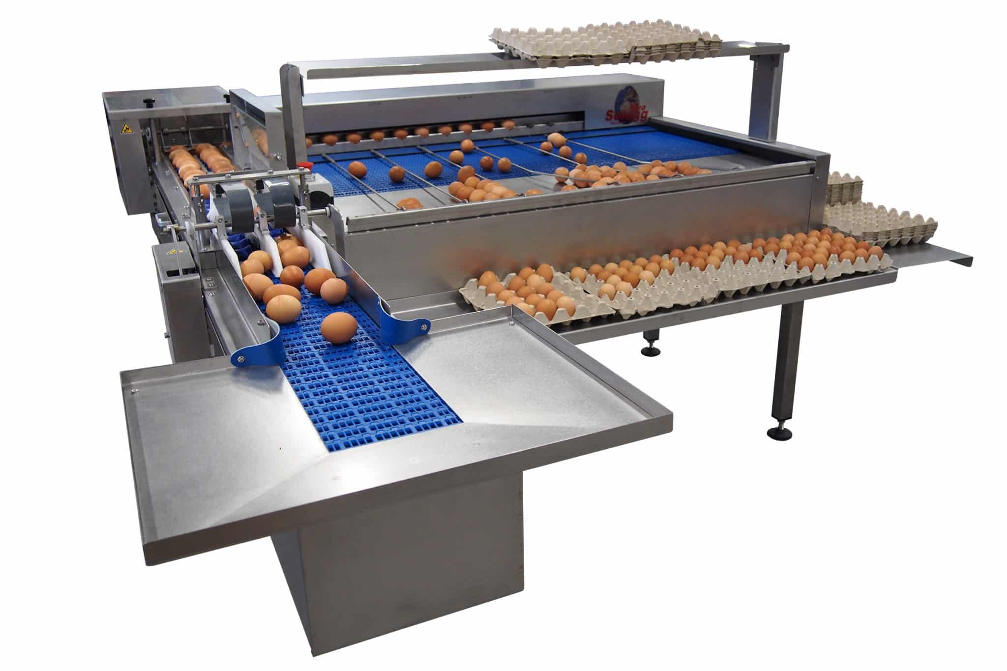 Egg Grader Type S 41 Reids Equipment