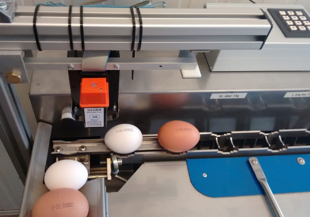 Egg Printing Machine | Reids Equipment